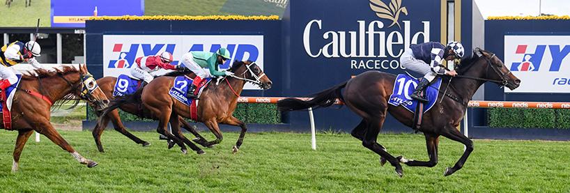 Caulfield Racing Tips: 2020 Caulfield Guineas Day | Before You Bet