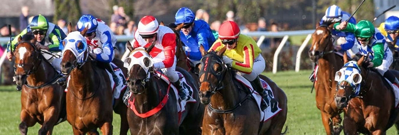Flemington Racing Tips: 2020 Makybe Diva Stakes Day | Before You Bet