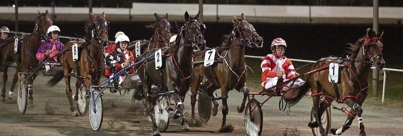 Harness Racing Tips: Gloucester Park & Albany - Friday February 8th ...