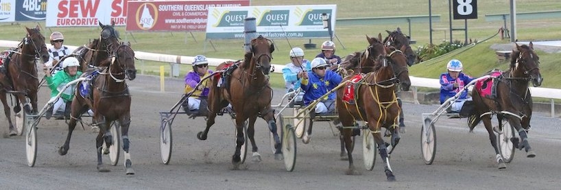 Harness Racing Tips: Albion Park & Menangle - Saturday February 16th ...