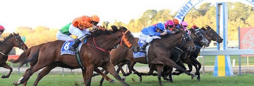 Grafton & Kyneton Racing Tips for Monday, February 20th | Before You Bet