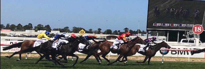 Sandown Hillside Racing Tips for Wednesday, August 30th | Before You Bet