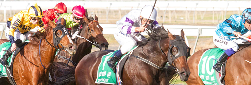 Morphettville Racing Tips: Saturday, May 18th | Before You Bet