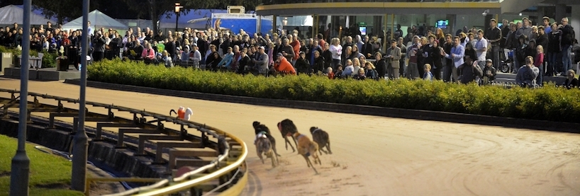 Greyhound Racing Tips: The Meadows & Cannington - Saturday February ...