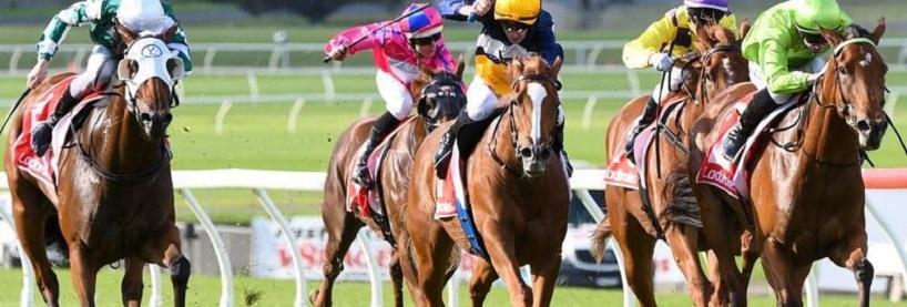 Horse Racing Tips: Wednesday March 24th | Before You Bet