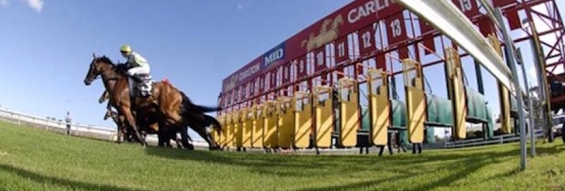 Sandown & Wyong Racing Tips for Wednesday, February 1st | Before You Bet