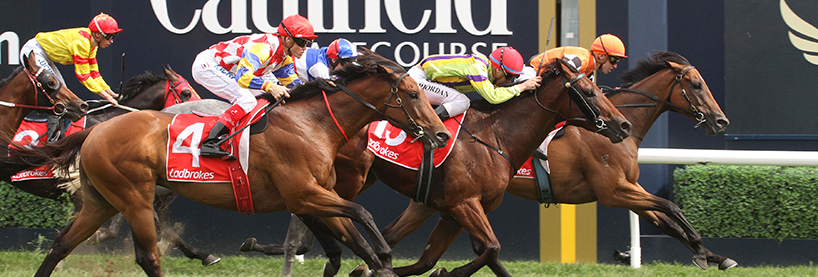 Caulfield Racing Tips for Wednesday, December 19th | Before You Bet