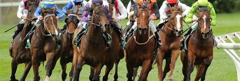 Cranbourne Racing Tips for Wednesday, September 20th | Before You Bet