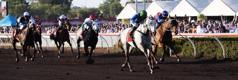 Darwin Racing Tips: 2020 Darwin Cup Day | Before You Bet