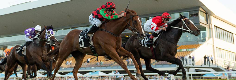 Doomben Racing Tips: Saturday, May 11th | Before You Bet