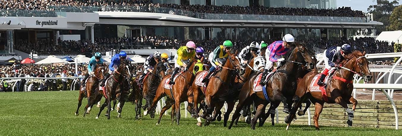 Flemington Racing Tips: Wednesday, January 1st | Before You Bet