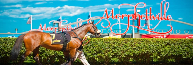 Morphettville Racing Tips for Saturday May 6th | Before You Bet