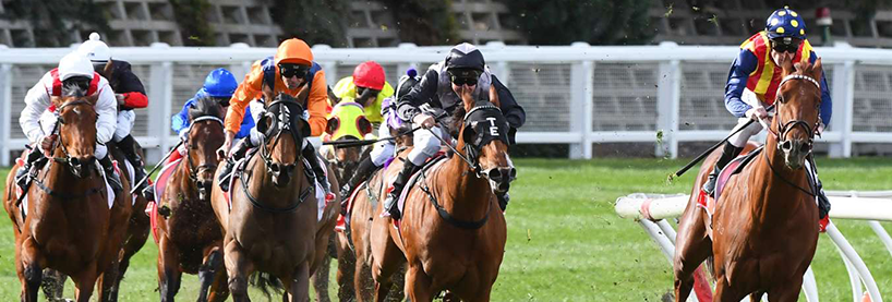 Moonee Valley Racing Tips for Friday, September 28th | Before You Bet