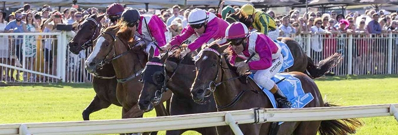 Ascot Racing Tips: 2020 Perth Cup Day | Before You Bet