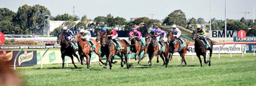 Rosehill Racing Tips for Saturday, January 27th | Before You Bet