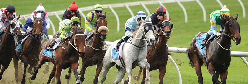 Sandown Lakeside Racing Tips: Monday, April 13th | Before You Bet