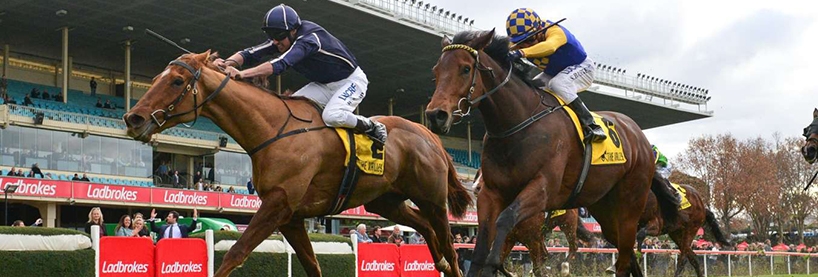 Moonee Valley Racing Tips: Saturday, August 22nd | Before You Bet